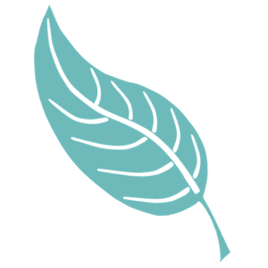 Absent Student Folder: How to Organize Missed Work Easily! - PAST THE POTHOLES